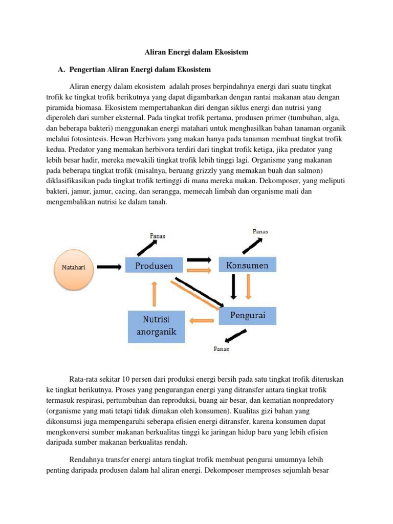 Pengertian Aliran Energi Dalam Ekosistem | PDF