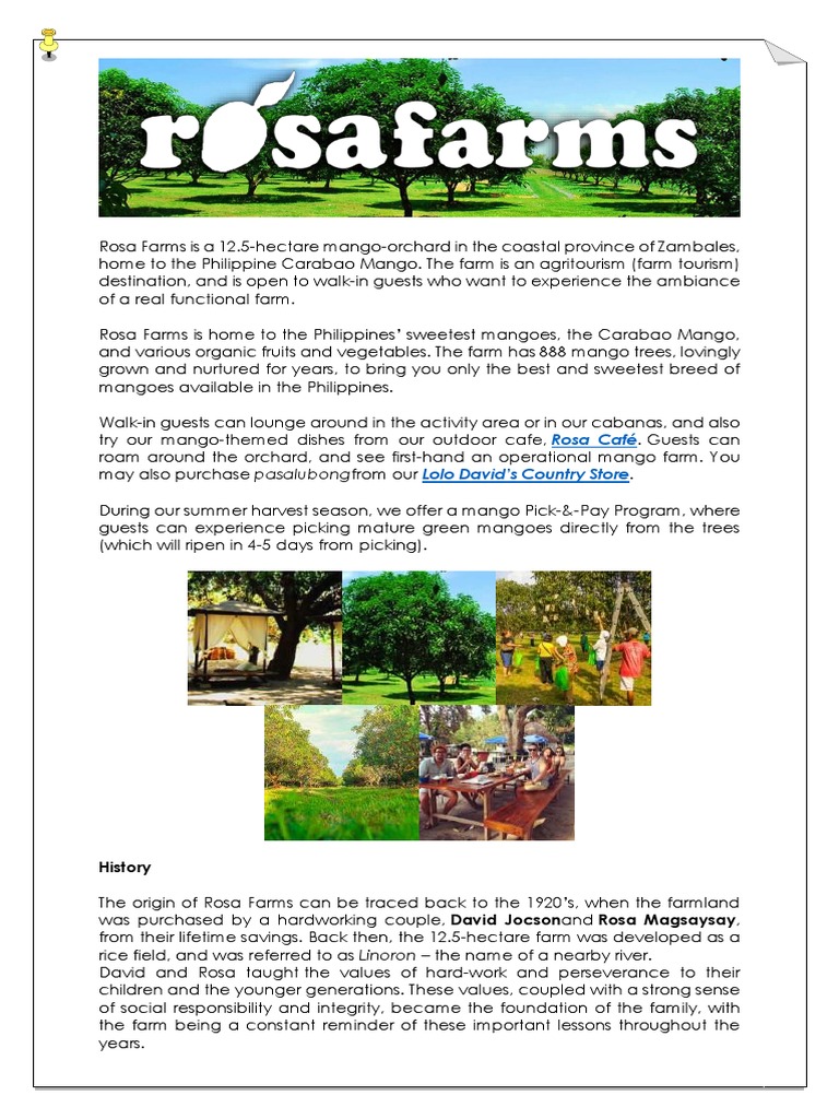 Guests Can .: Rosa Café Lolo David's Country Store | PDF | Mango ...