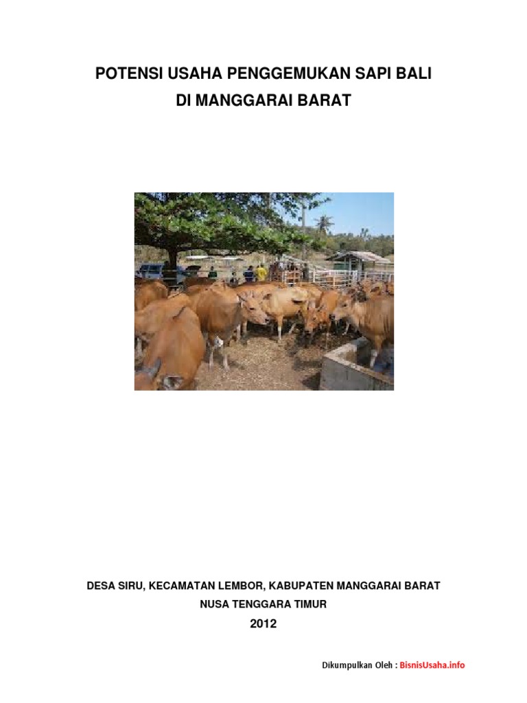 Proposal Usaha Sapi Potong PDF | PDF