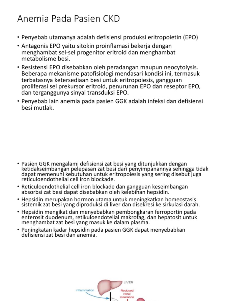 Anemia Pada CKD | PDF