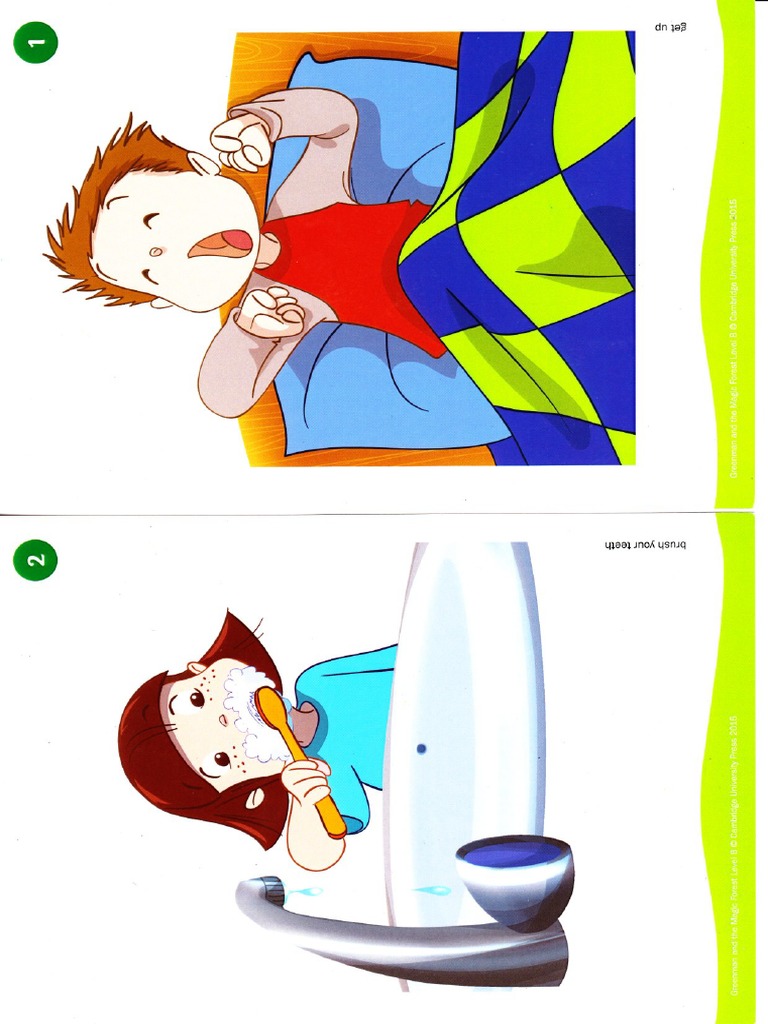 Greenman B Flashcards | PDF