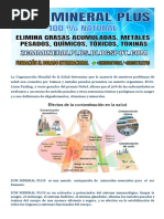 ESCALA DE ARMSTRONG (Todas Las Cat) | PDF