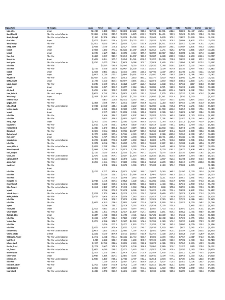 2017 Chicago Police Department Overtime | PDF | Detective | Public Safety