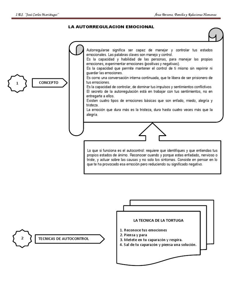 Autorregulacion Emocional | PDF | Autorregulación emocional | Las emociones
