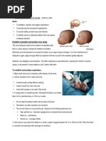 Ballard Score: Neuromuscular Maturity 1. Posture | PDF | Anatomical ...
