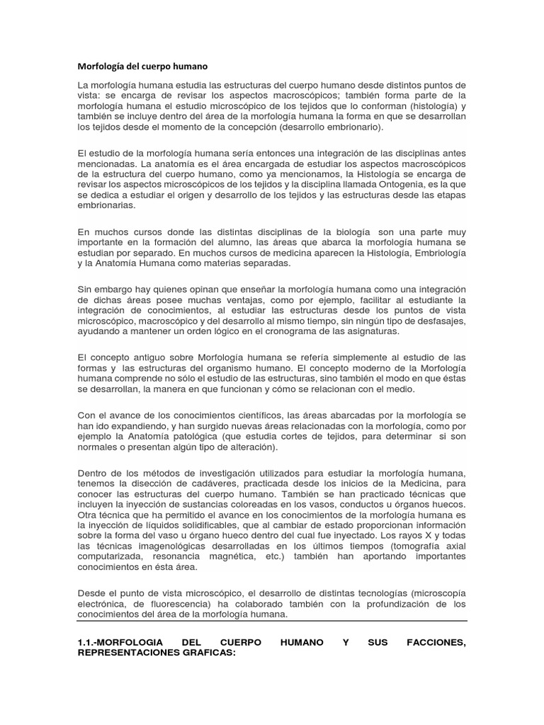 Morfología Del Cuerpo Humano | PDF | Anatomía | Anatomía humana