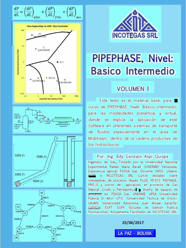 Guia de PIPEPHASE BI Presentacion | PDF | Videotelefonía | Transporte
