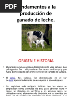 Ciclo de Vida de La Vaca | PDF | Vacas | Leche