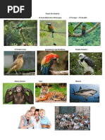 10 Animales Que Nadan | PDF