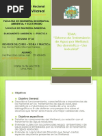 Componentes Del Humedal | PDF | Humedal | Plantas