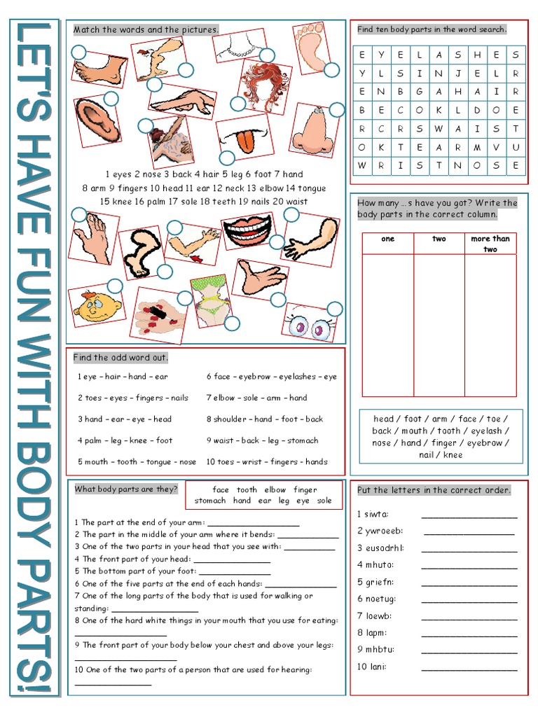 Parts of The Body Vocabulary Exercises Fun Activities Games Icebreakers ...