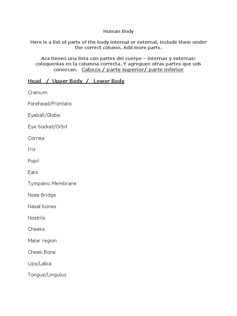 Human Body Exercise 1 | PDF