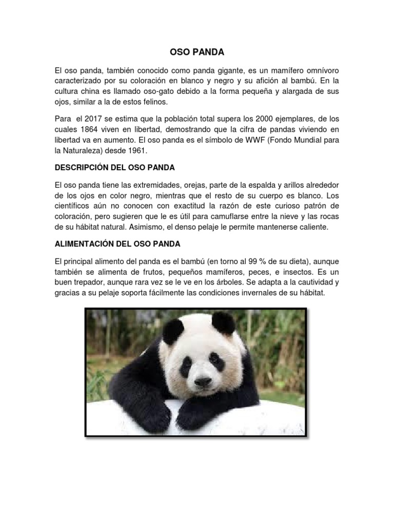 Oso Panda | PDF