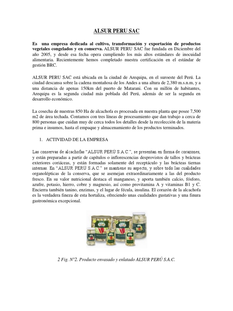 Alsur Peru Sac | PDF | Alcachofa | Perú