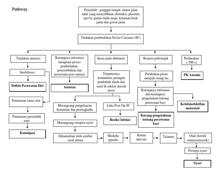 Pathway SC Kevin | PDF