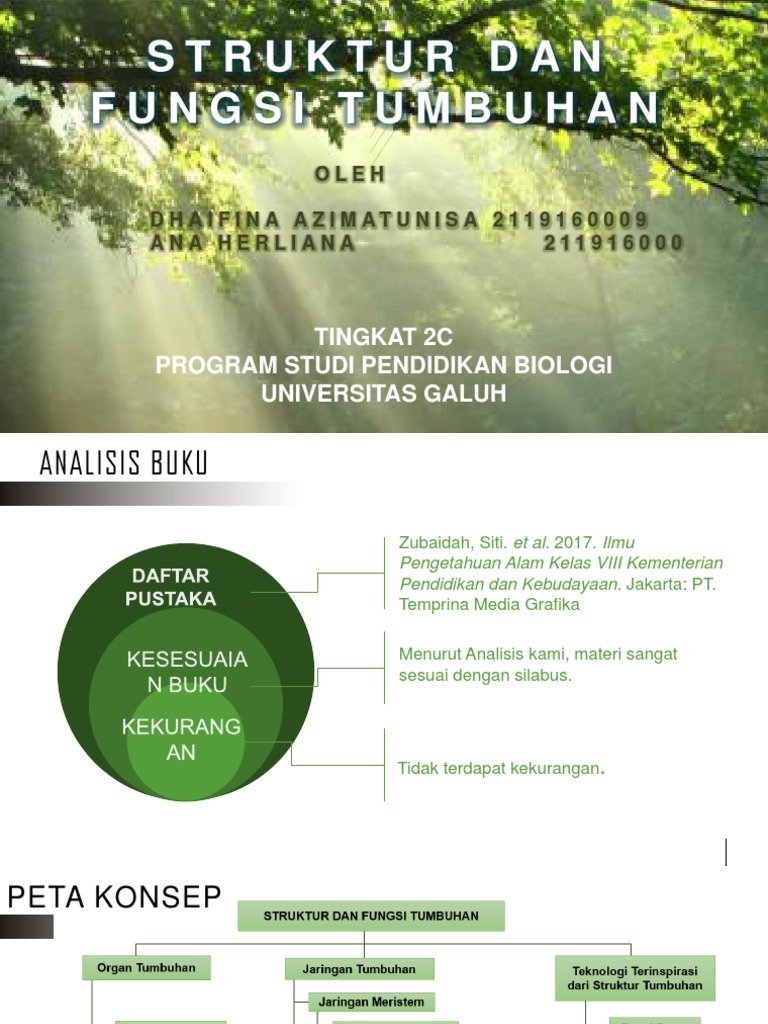 Kapsel 1-Struktur Dan Fungsi Tumbuhan - 2c | PDF