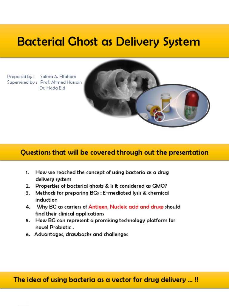 Bacterial Ghost As Delivery System | PDF | Toll Like Receptor | Bacteria