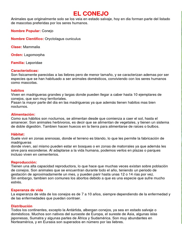El Conejo Pdf Organismos Enfermedades Animales