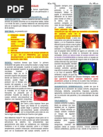 Signo de Mapache | PDF | Lesión | Medicina