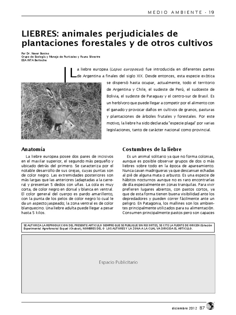 INTA Medioambiente19 Liebres Animales Perjudiciales | PDF | liebre | El ...