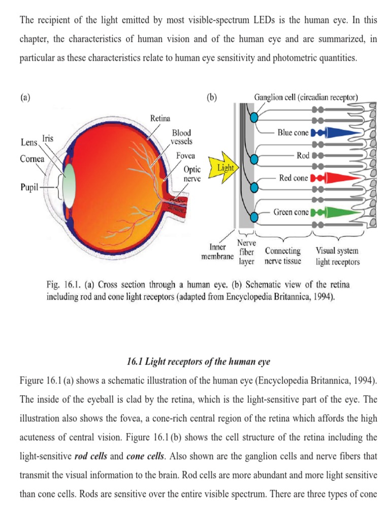 9.eye and Photometry | PDF | Light Emitting Diode | Optics