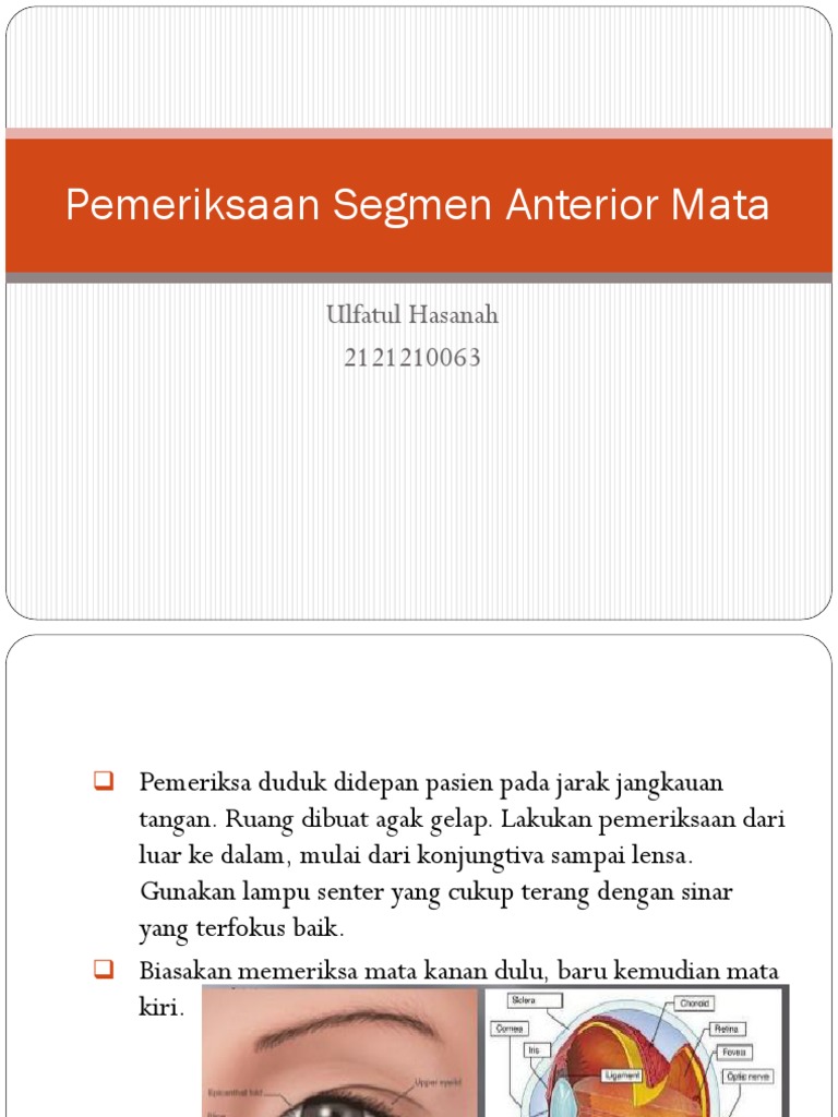 Pemeriksaan Segmen Anterior Mata Fix | PDF