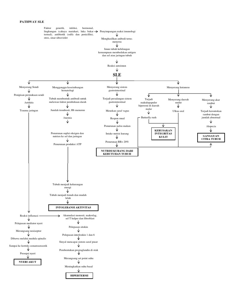 Pathway SLE pada Anak dan Implikasinya | PDF