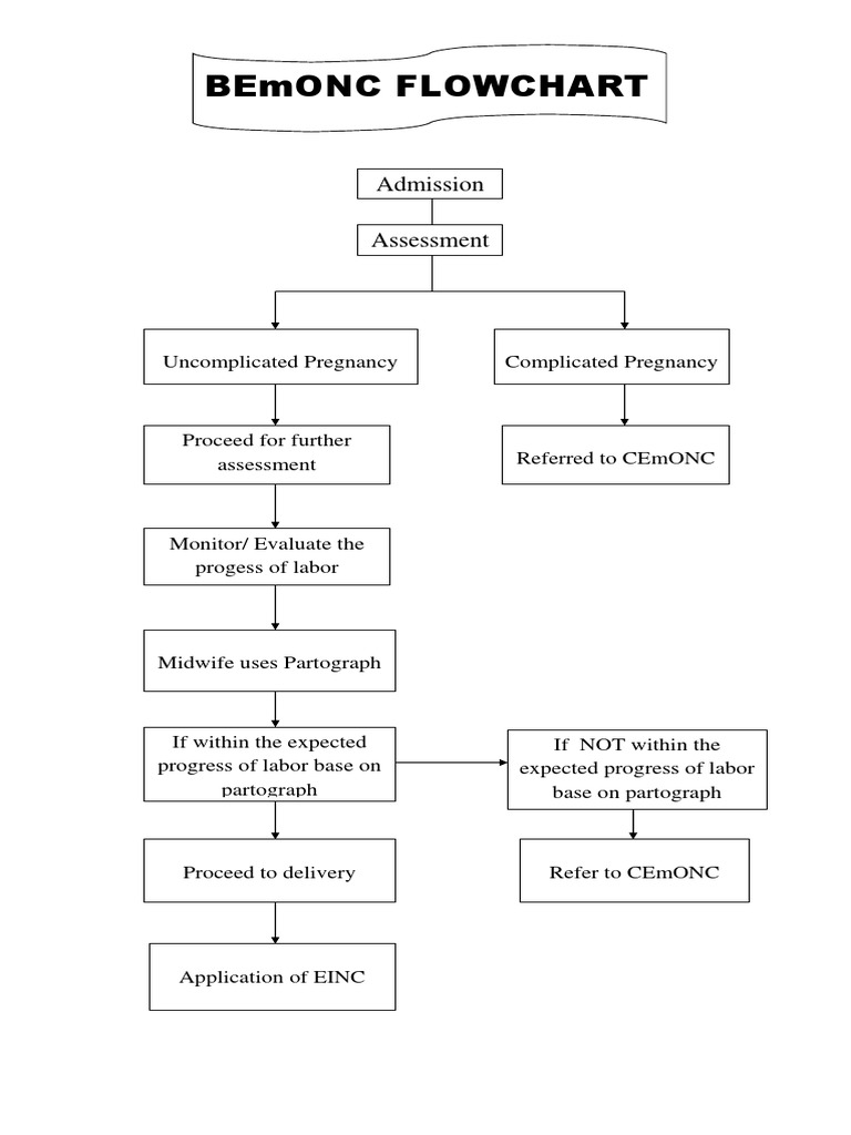 Bemonc Flowchart | PDF