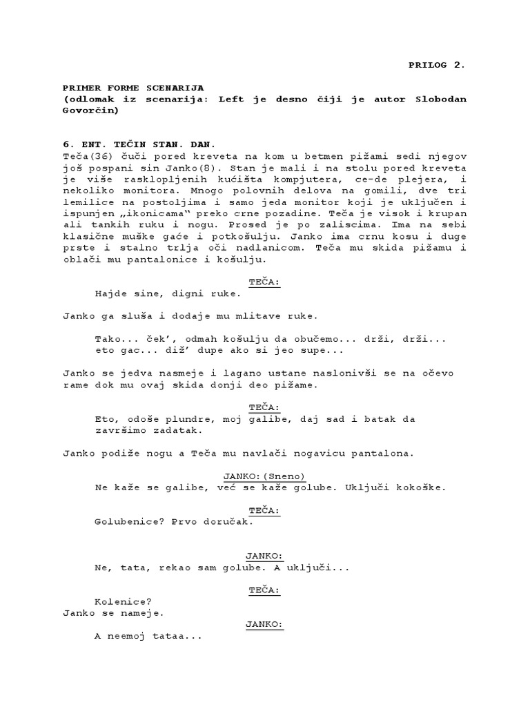 4 Prilog 2 Primer Scenarija PDF | PDF