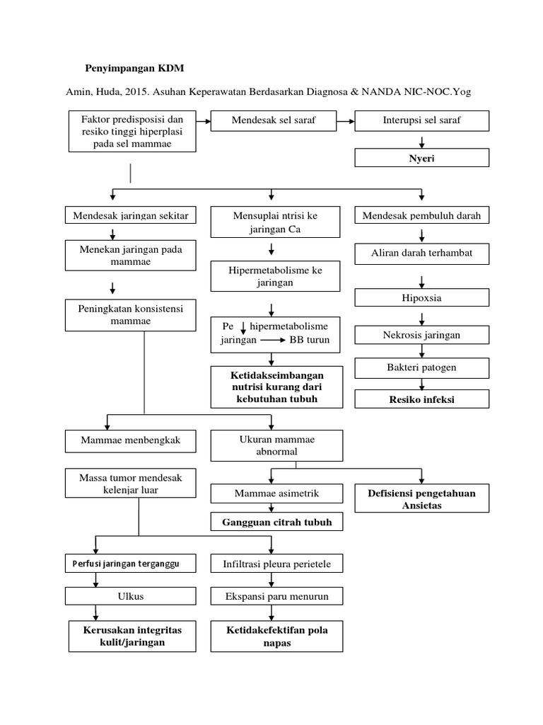 Pathway CA Mammae | PDF