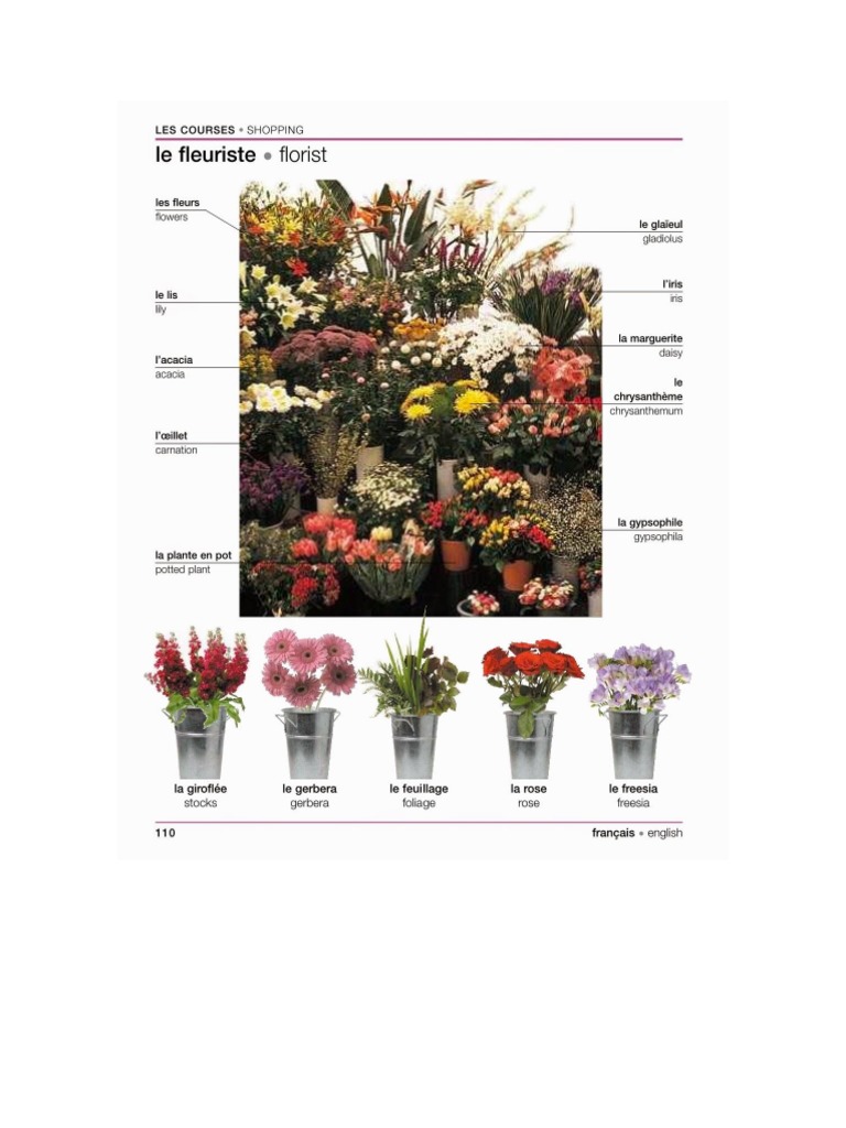 Vocabulaire Le Fleuriste | PDF