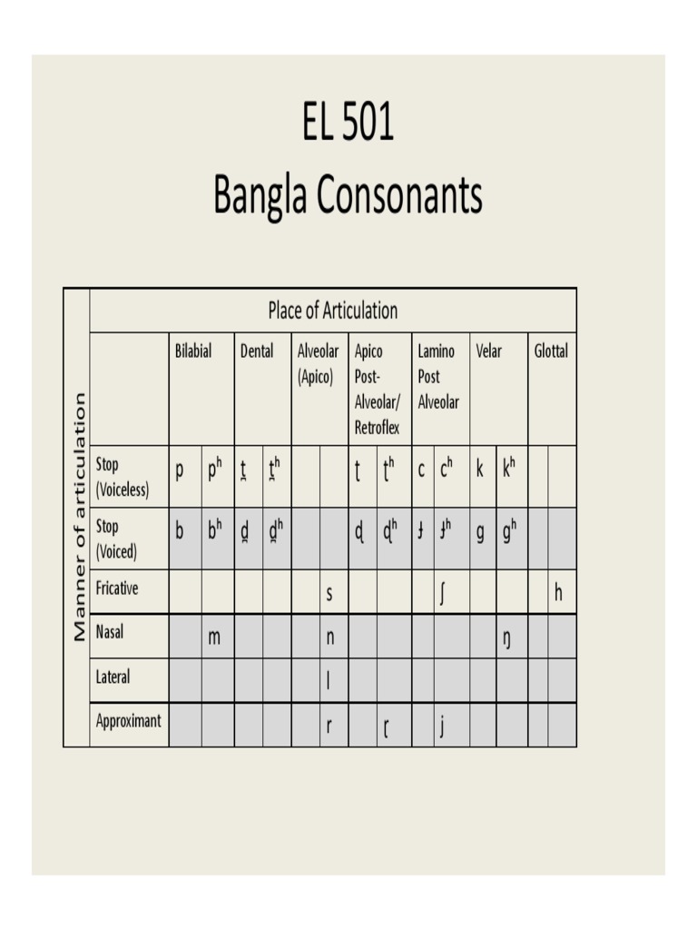 Bangla Consonants Articulation Chart | PDF