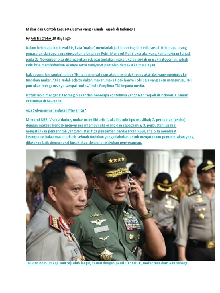 Makar di Indonesia: Definisi dan Kasus | PDF | Politik | Ilmu Sosial