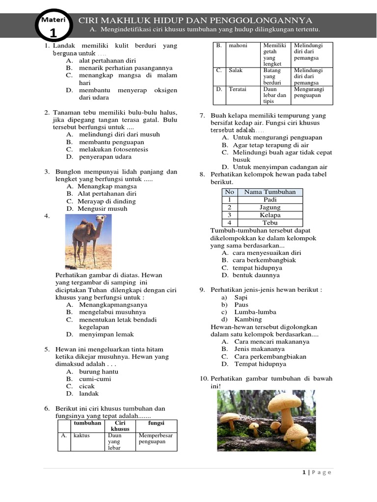 ipa-try-out-pdf
