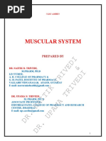 Musculoskeletal Anatomy and Physiology | PDF | Human Musculoskeletal ...