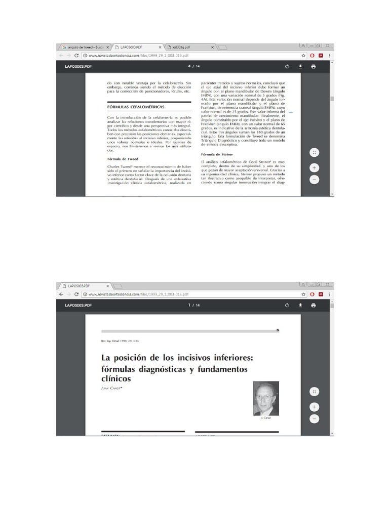 Análisis de Tweed | PDF | Métodos y materiales de enseñanza