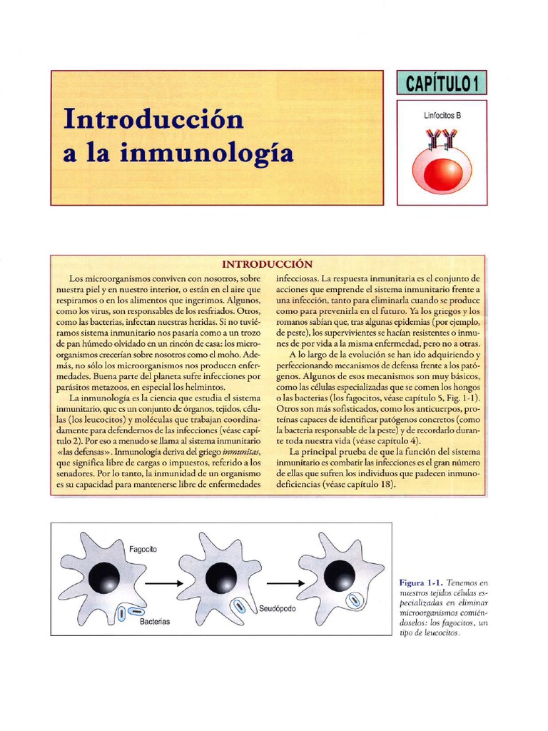 Regueiro Capitulo 1 | PDF | Fagocito | Sistema inmune
