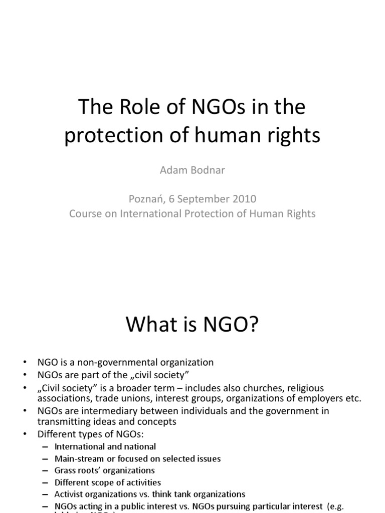 NGOs' Impact on Human Rights Protection | PDF | Non Governmental ...