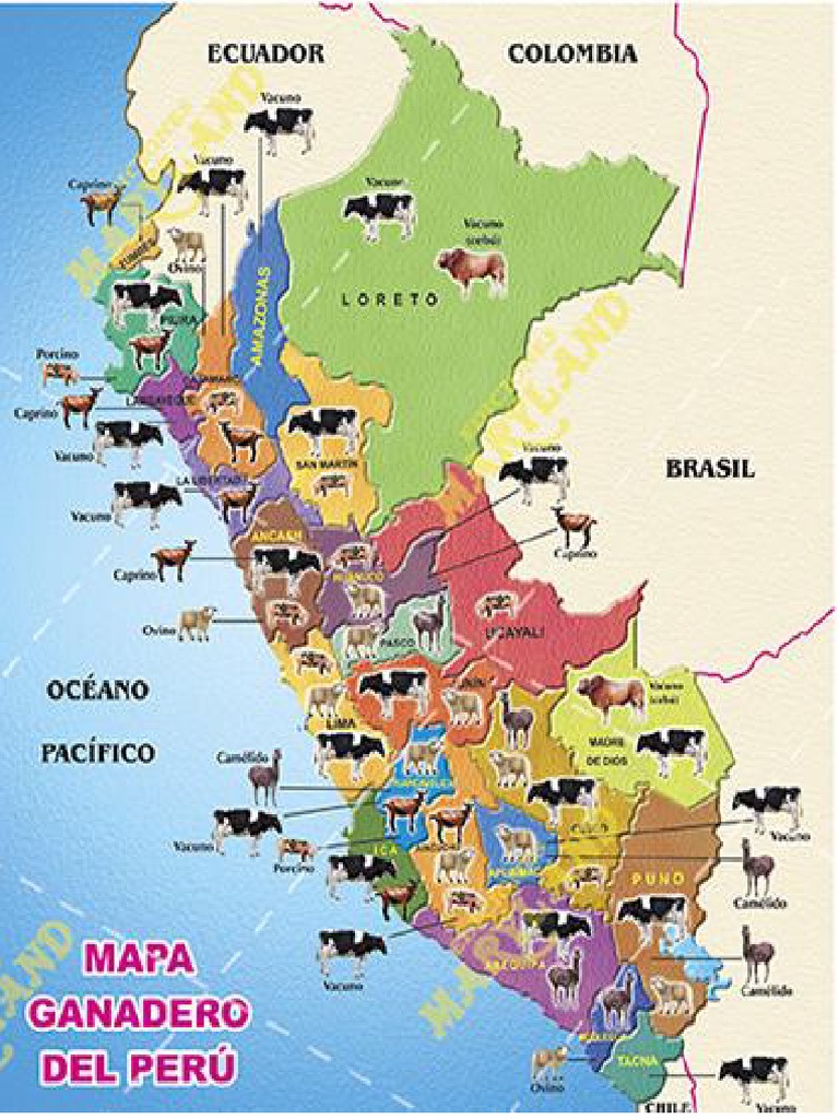 Mapas Del Peru | PDF