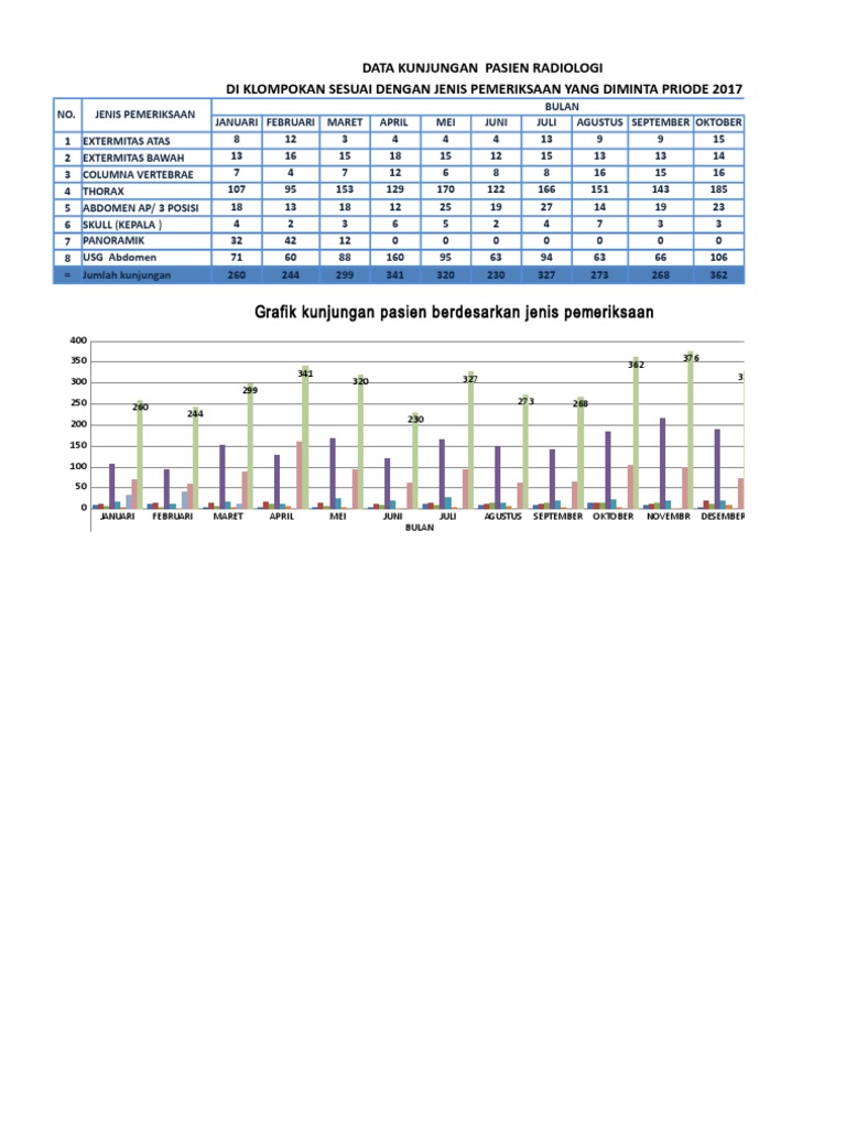 Presentasi Kunjungan Pasien 2017 | PDF