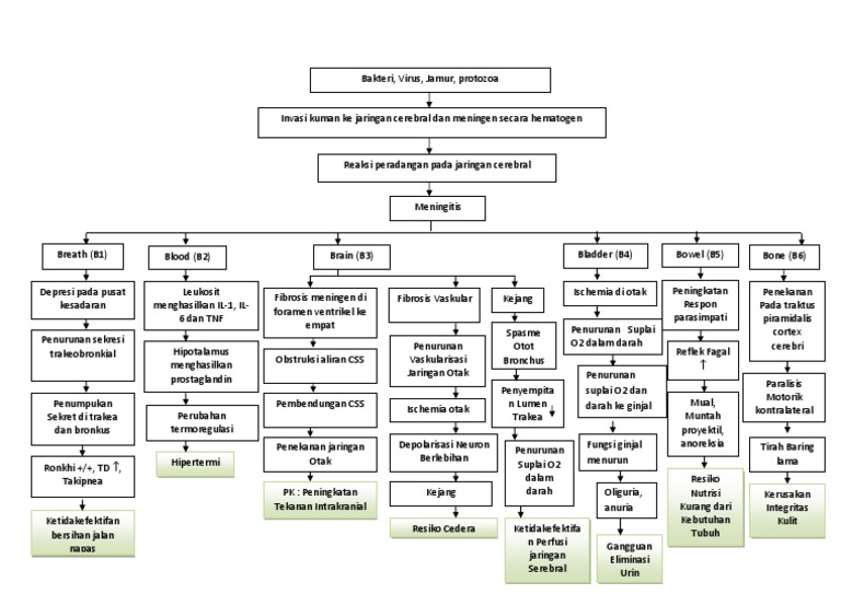Woc Meningitis | PDF