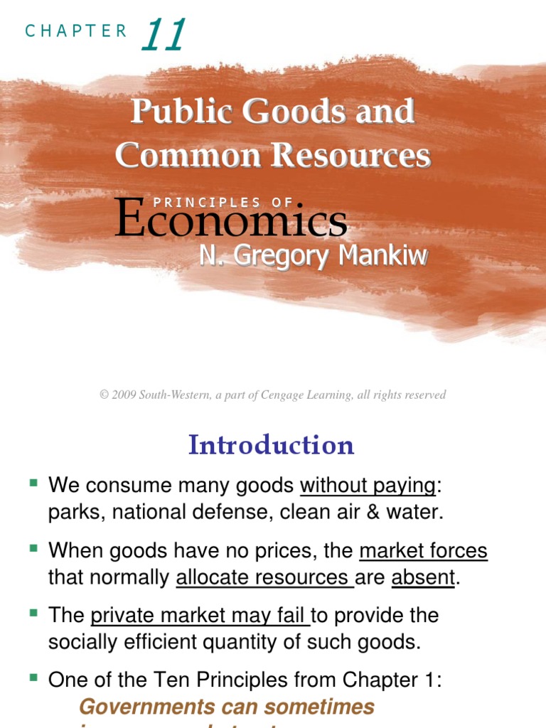 11 Public Goods & Common Resources | PDF | Public Good | Externality
