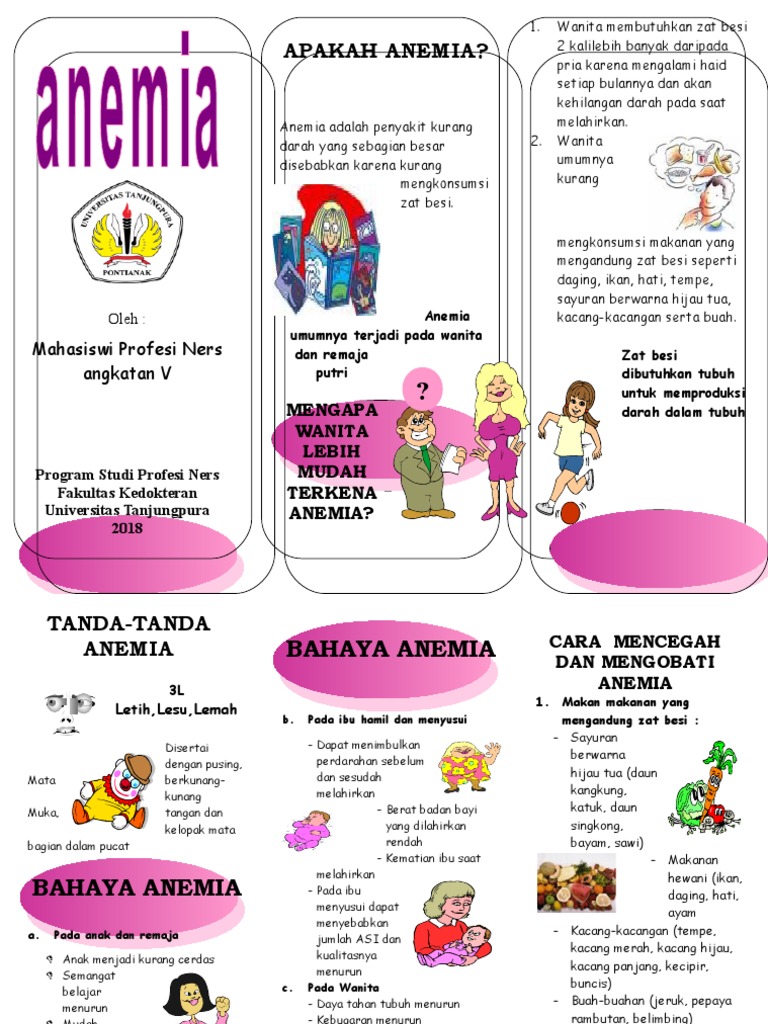 Leaflet Anemia | PDF