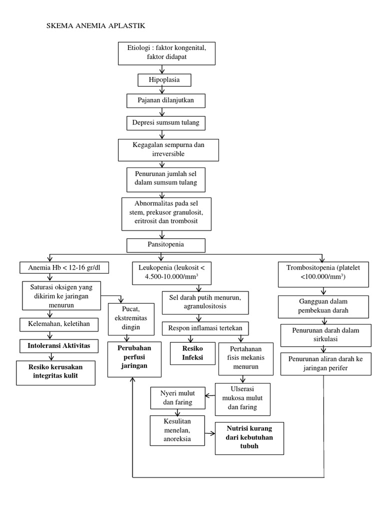 Etiologi dan Patofisiologi Anemia Aplastik | PDF