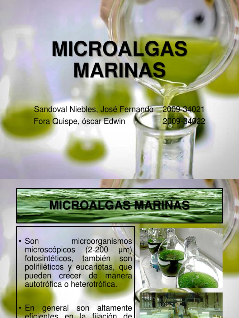 Microalgas Marinas | Metabolismo | Enzima