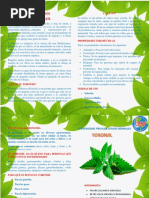 Triptico Del Cedron | PDF