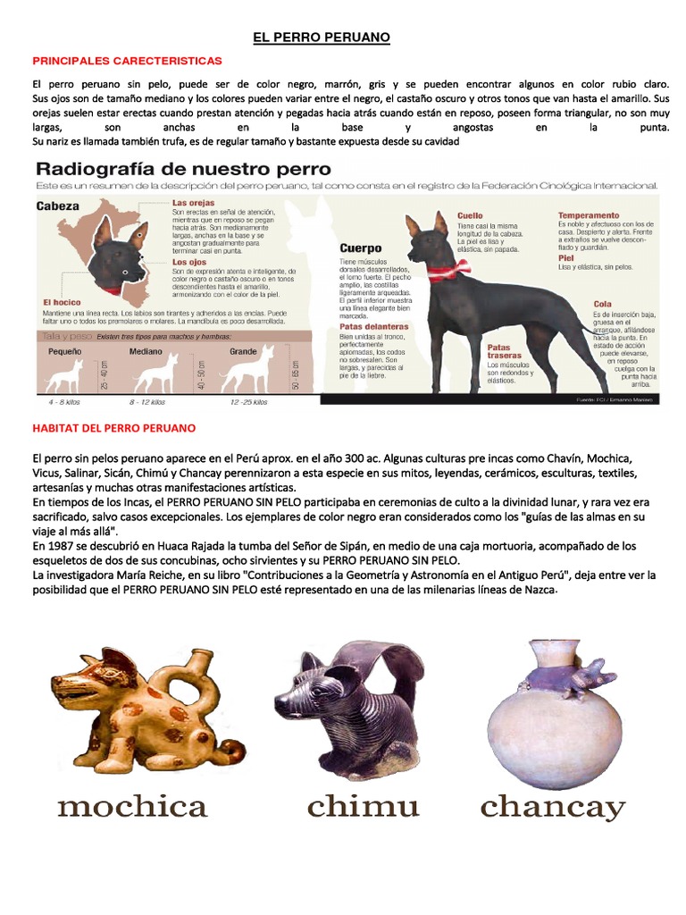 El Perro Peruano Jose Luis | PDF