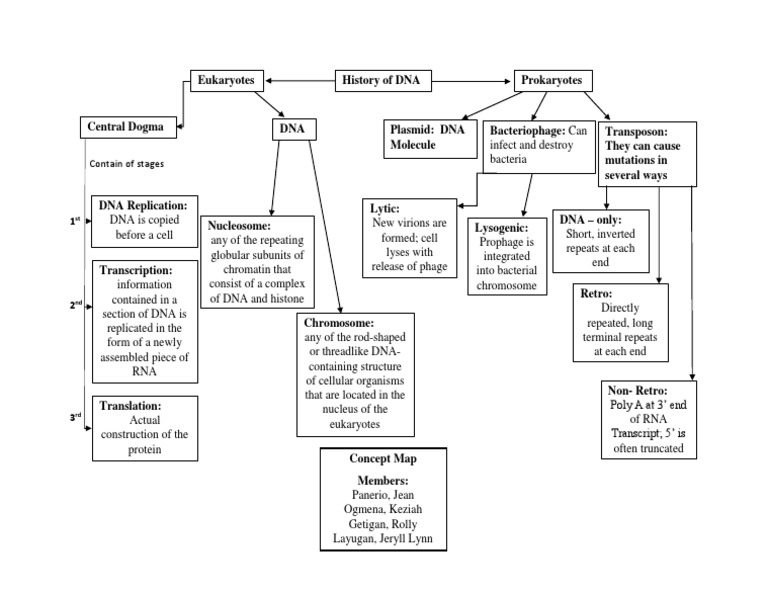 Discovery Of Dna Structure Concept Map