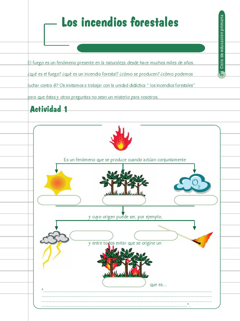 Incendios Bases Teoricas | Fuego fatuo | Los bosques
