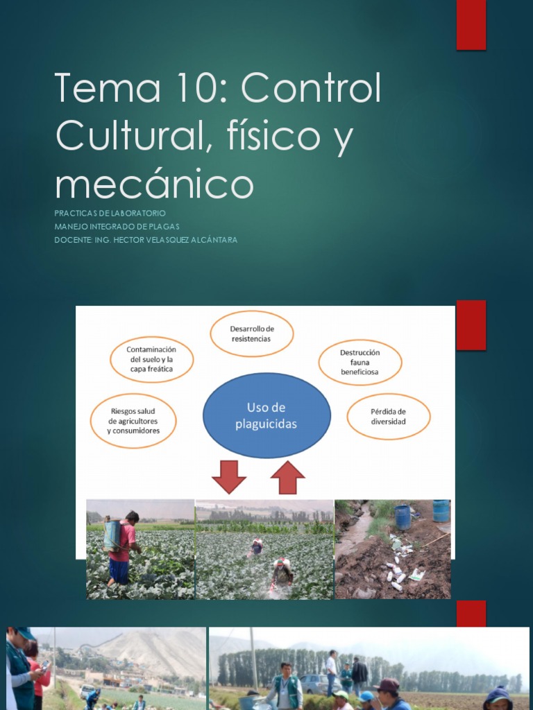 Tema 10 Control Cultural | PDF | Plaga (organismo) | Organismos